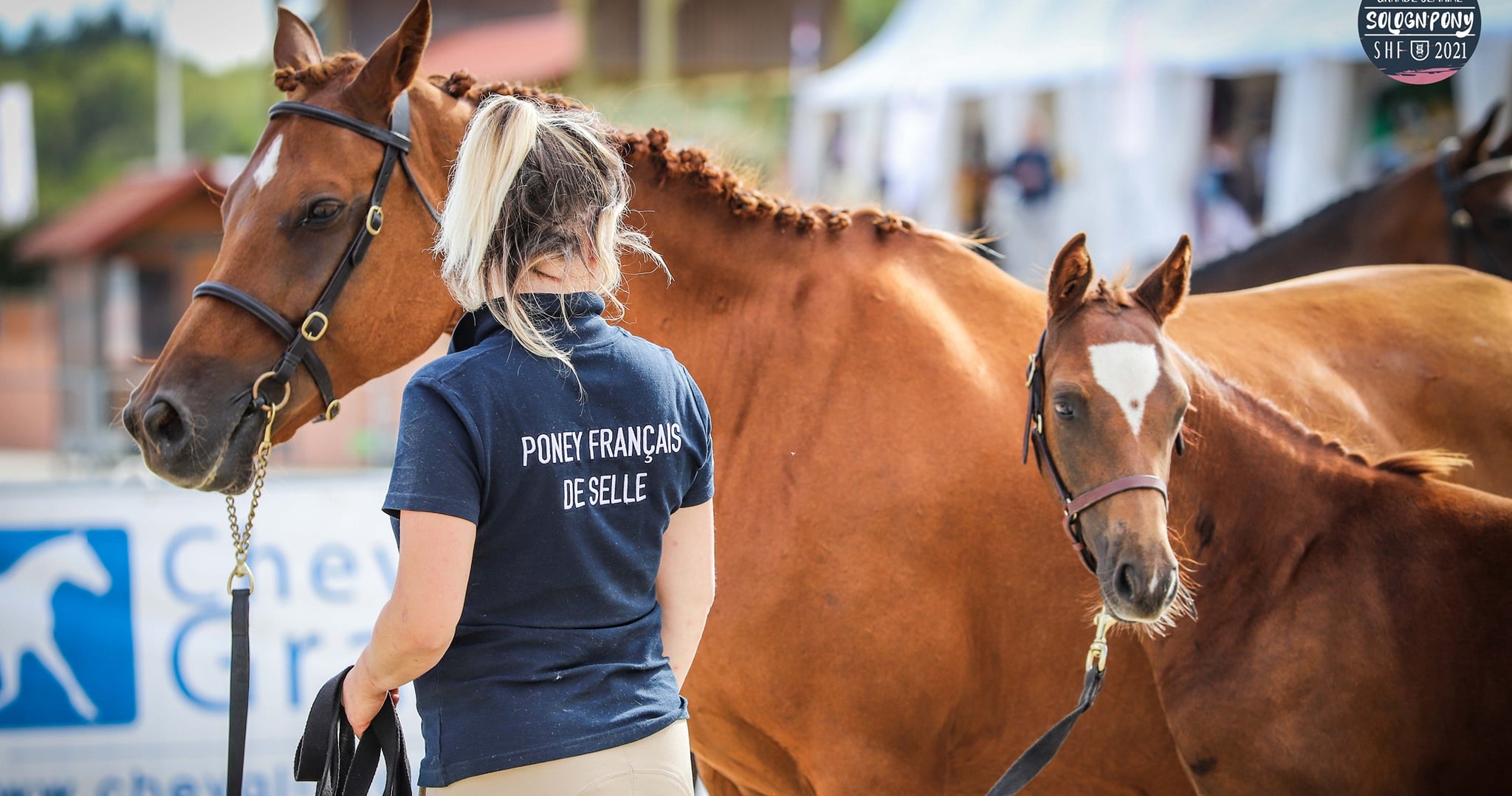 Rappel : Inscription demande manuelle des primes PACE Poney et Endurance (uniquement ...