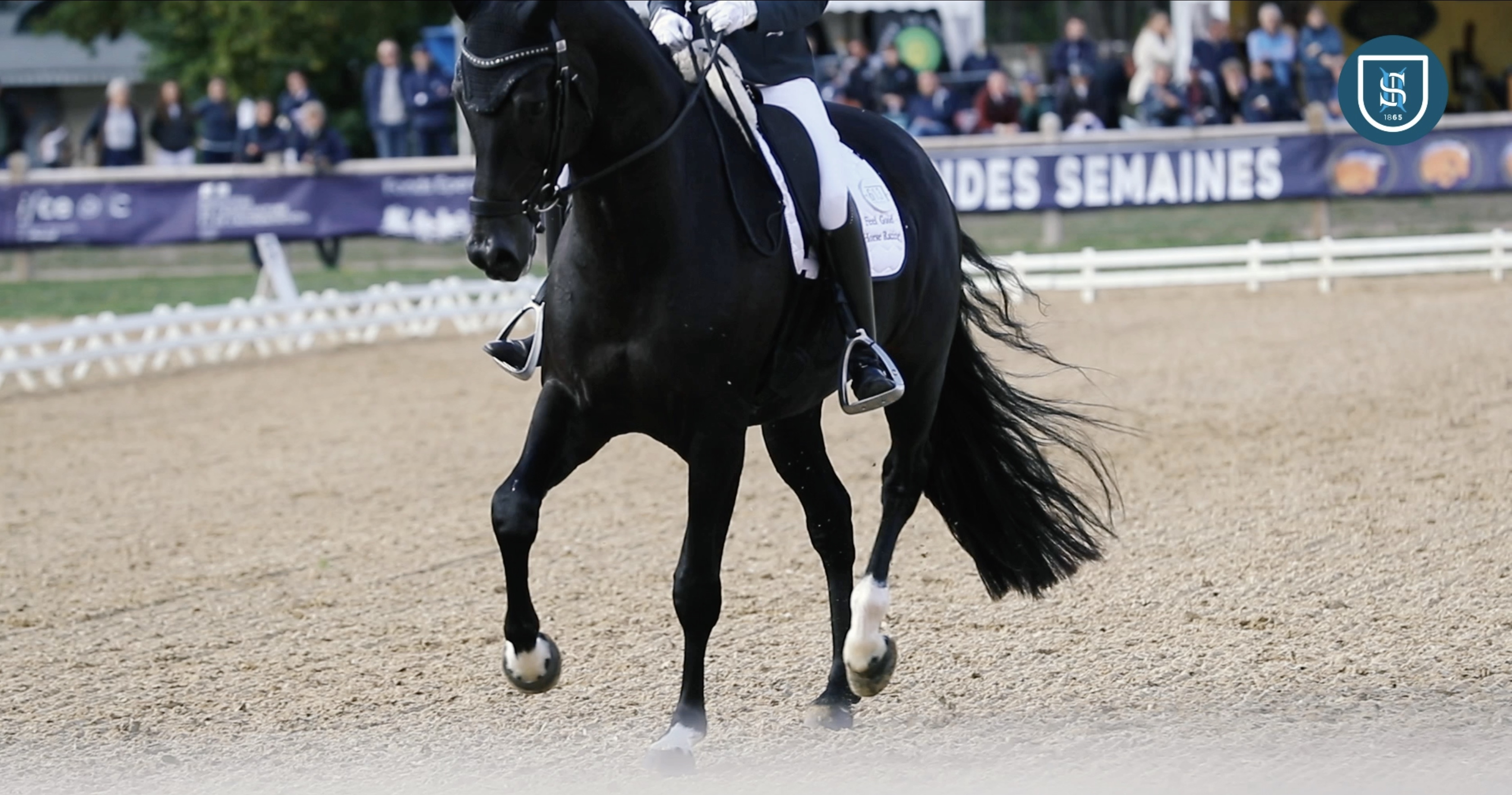 Saumur 2022 - l'aftermovie - Actualités | Grande Semaine de Dressage