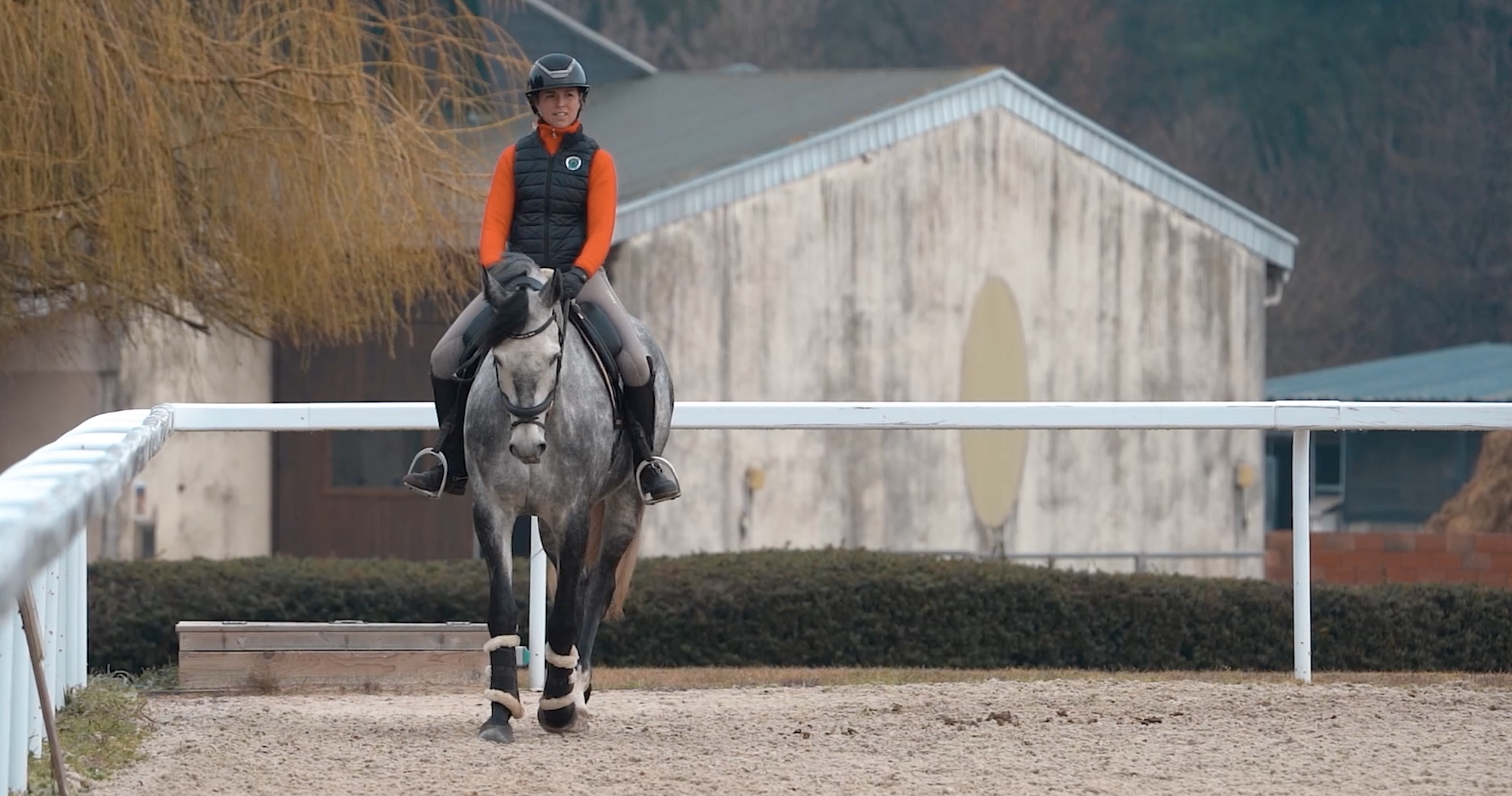 Stages Label Cavalier SHF 2023 - News | Grande Semaine de So'Pony