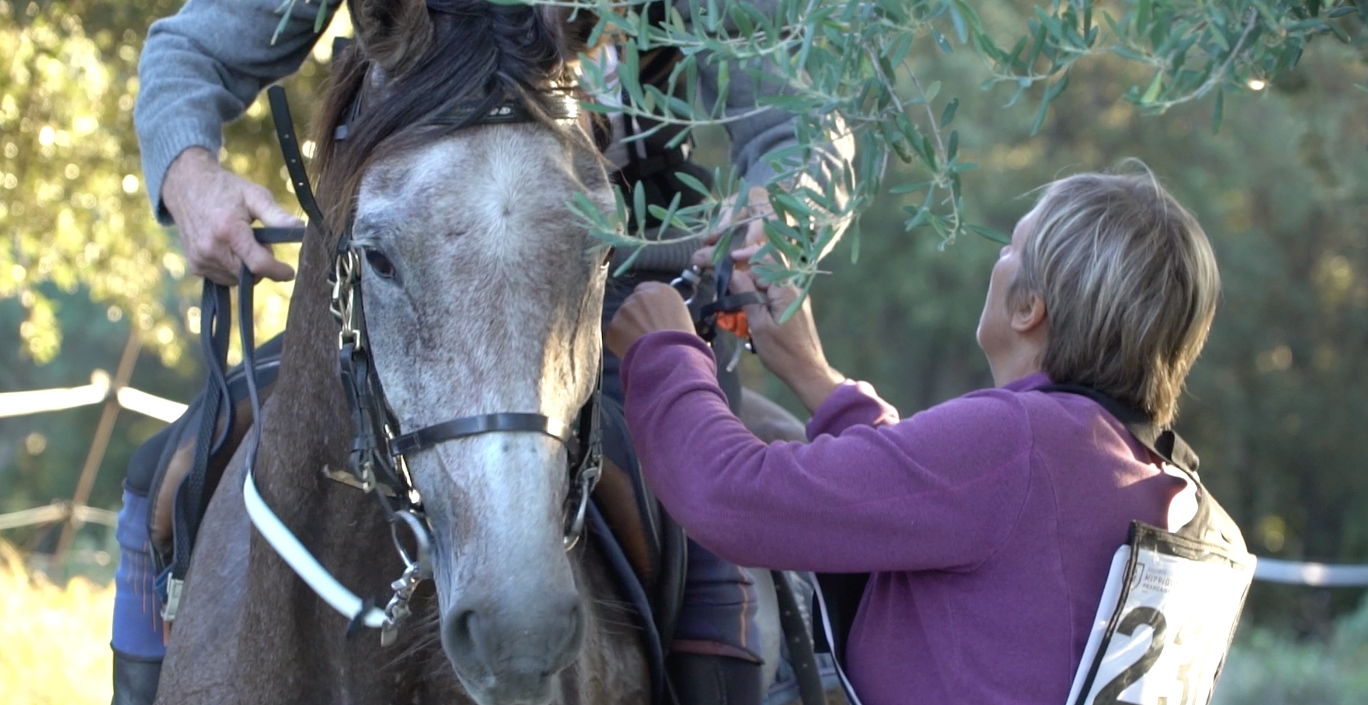 Uzès Endurance 2023 : J3 - Actualités | SHF - Société Hippique Française