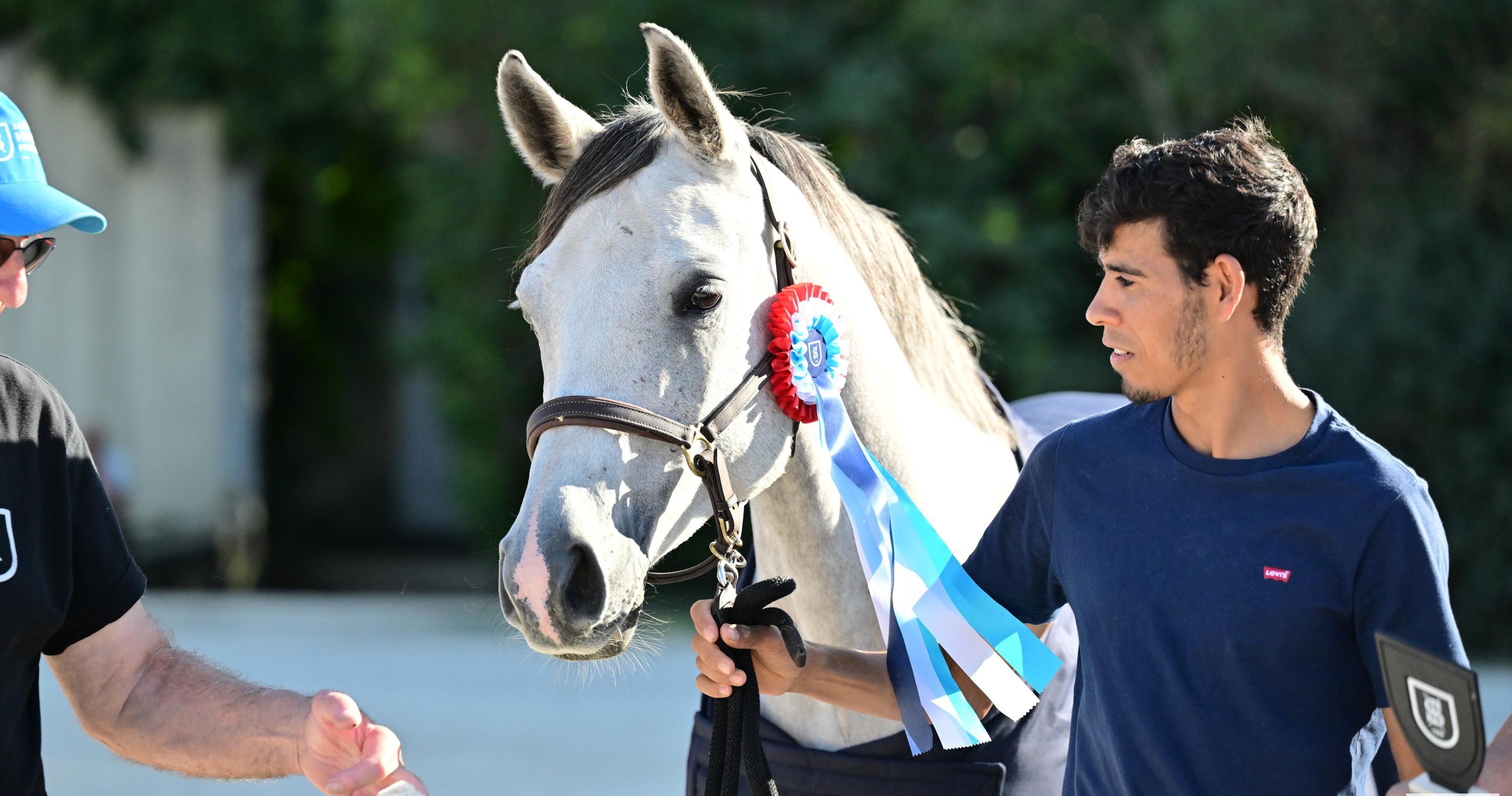 Uzès Endurance 2023 : Le CL1-5 ans sacre IMPACT DE VERE - Actualités ...