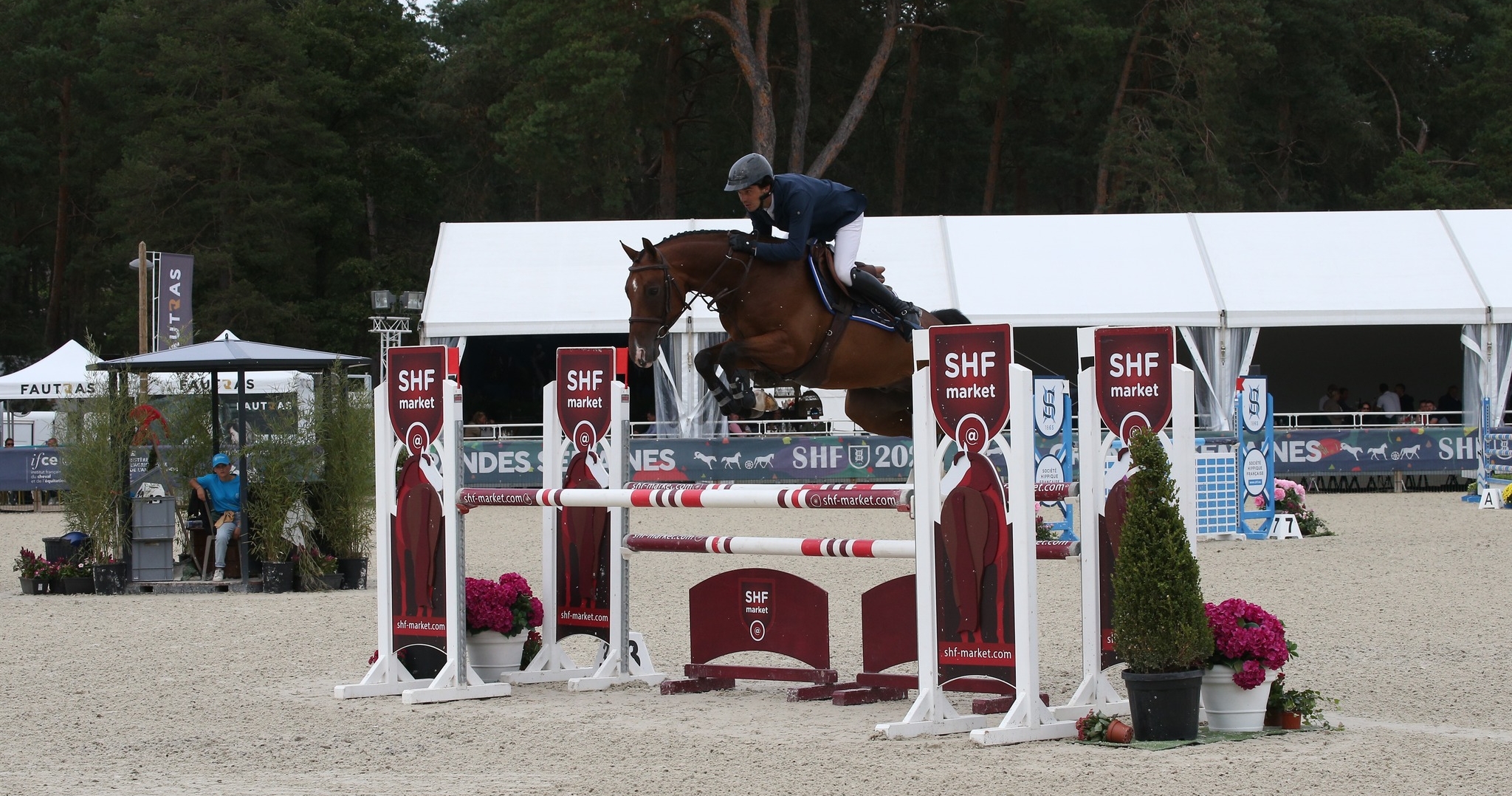 Modifications règlementaires CSO Chevaux 2024 - Actualités | SHF ...