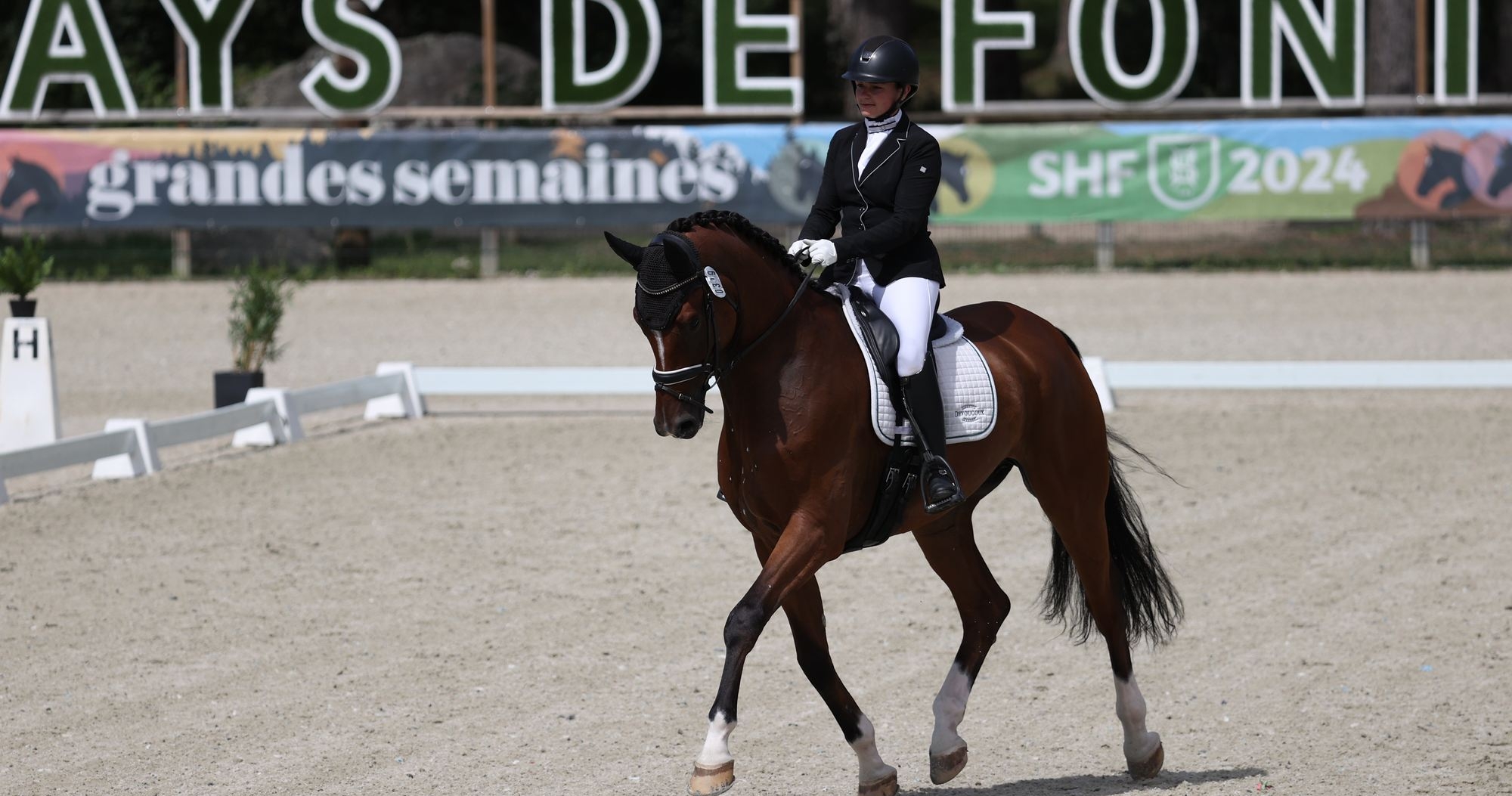 Dressage 2025 : modifications des protocoles de reprise - Actualités ...