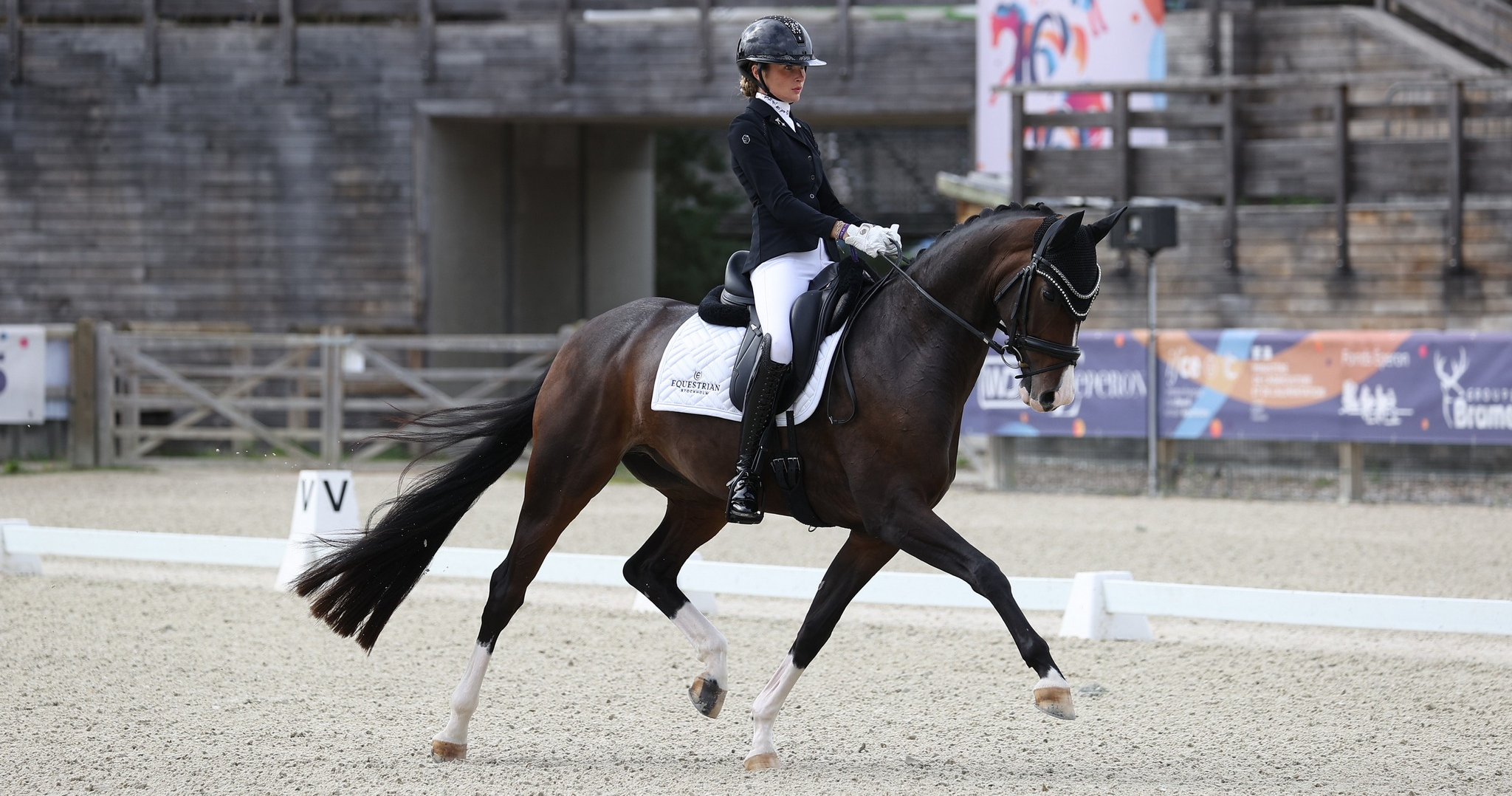 La Finale jeunes chevaux/poneys Dressage 2026 s’installe au Mans ...