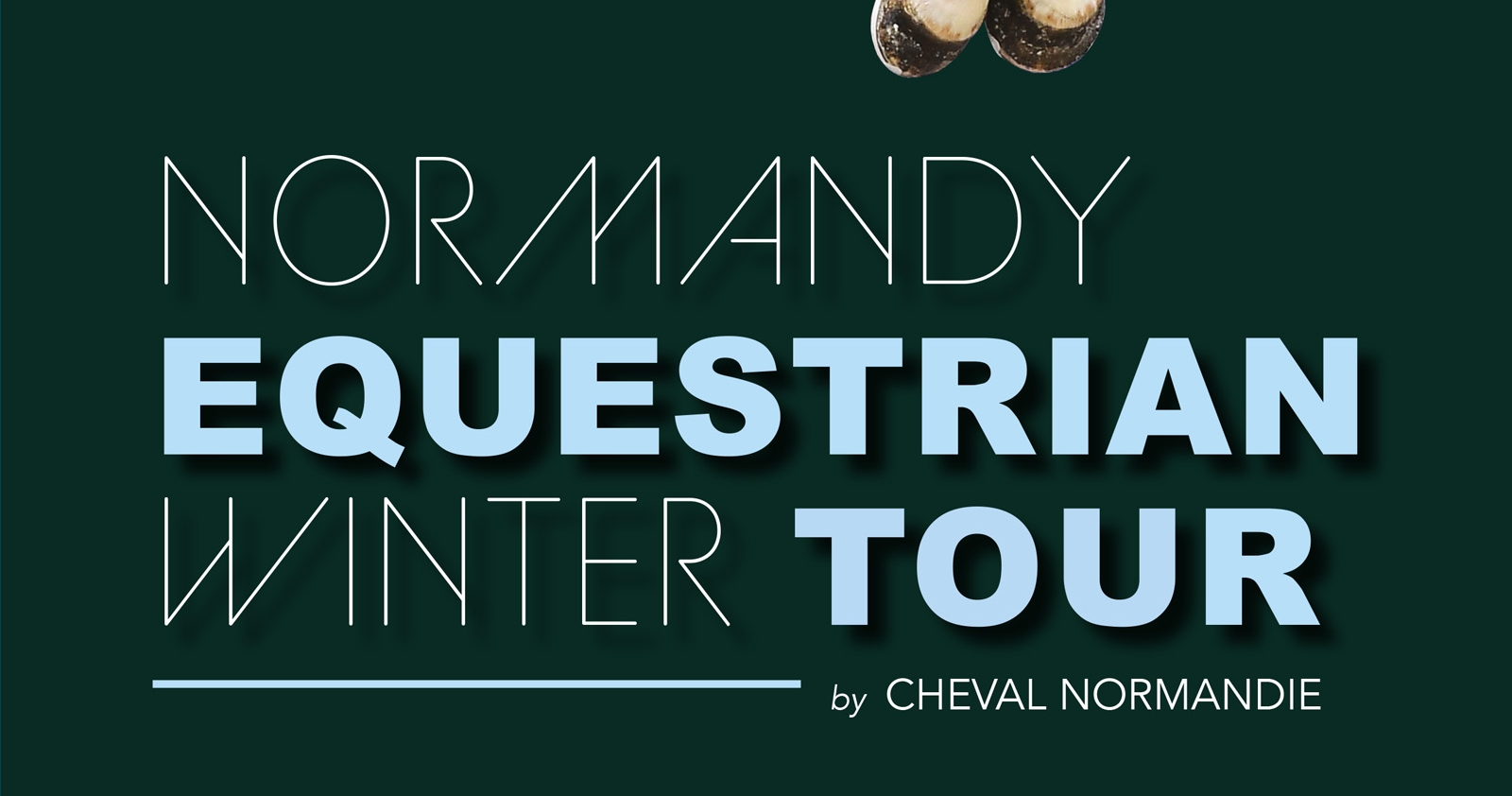 Circuit d'Hiver: Normandy Equestrian Winter Tour - Actualités | SHF ...