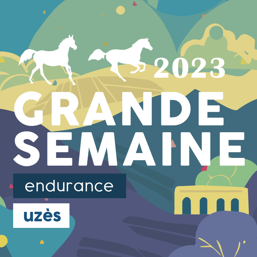 Horses for sale : Grande Semaine d'Uzès | SHF Market