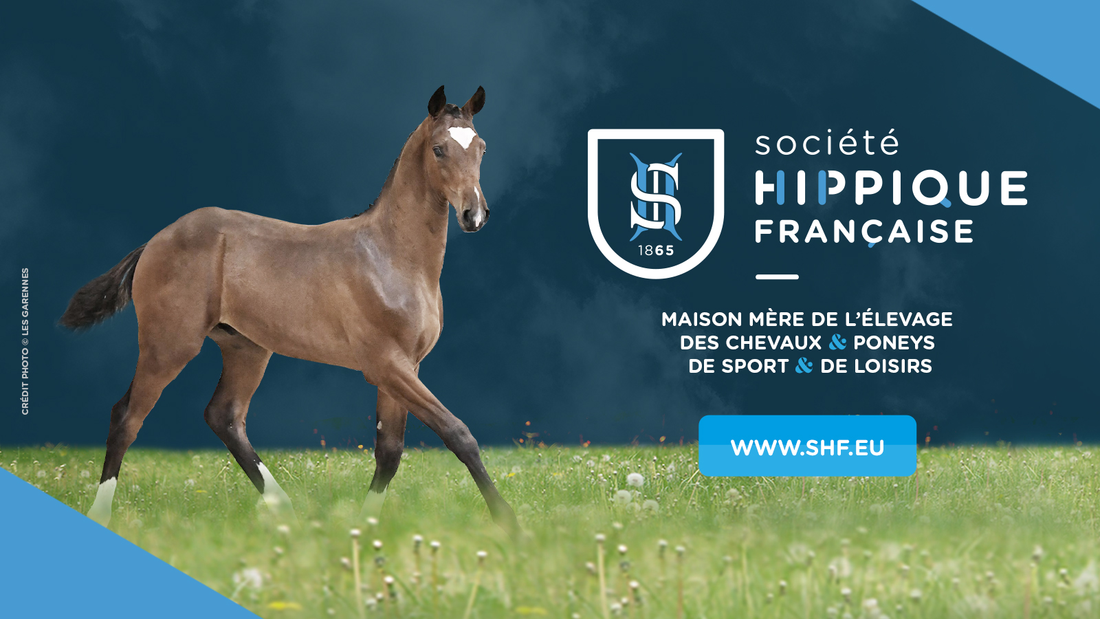 | SHF - Société Hippique Française